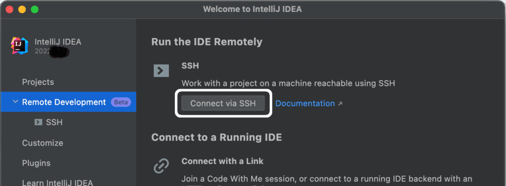 IntelliJ IDEA 원격 개발 연동하기 - 오솔길